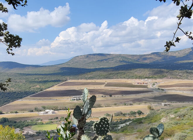 Galería – NONU Glamping Experience